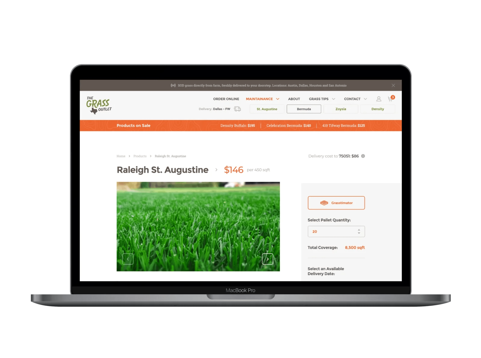 Web Development Service — MANE Digital