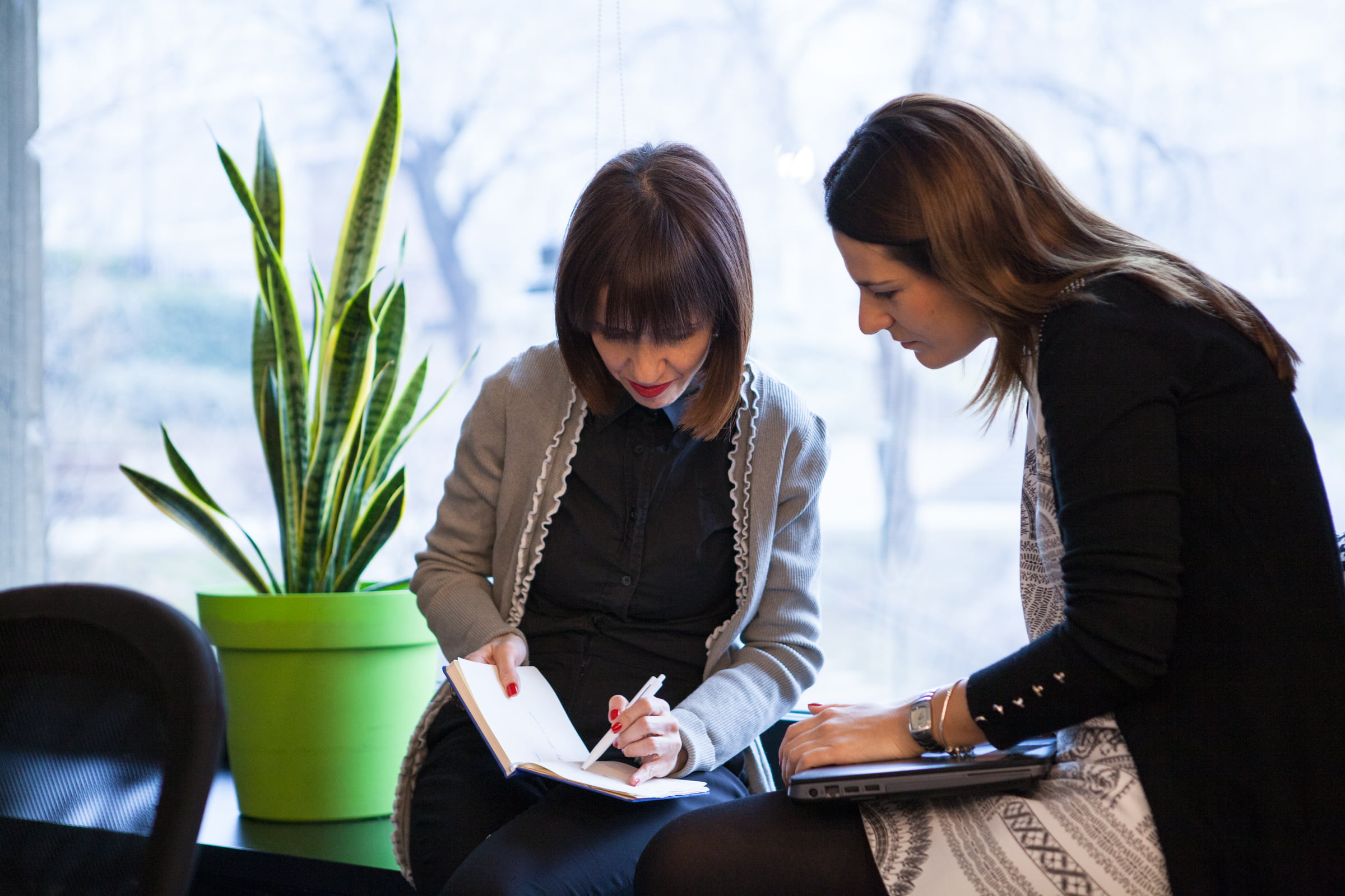 Web Design Services For Nonprofits - MANE Digital