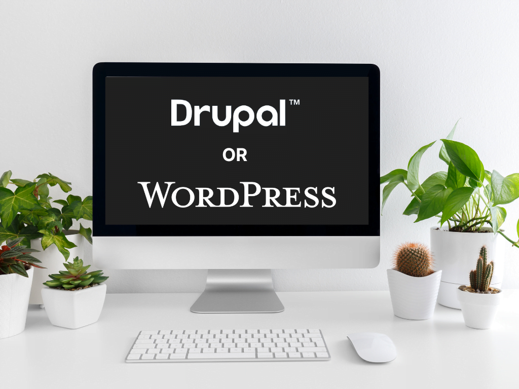 Drupal vs. WordPress - Which CMS is Better? (2023 Comparison) — MANE ...